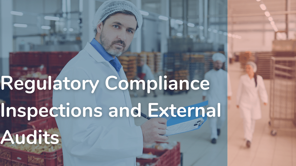 Inspections and External Audits: Full Course